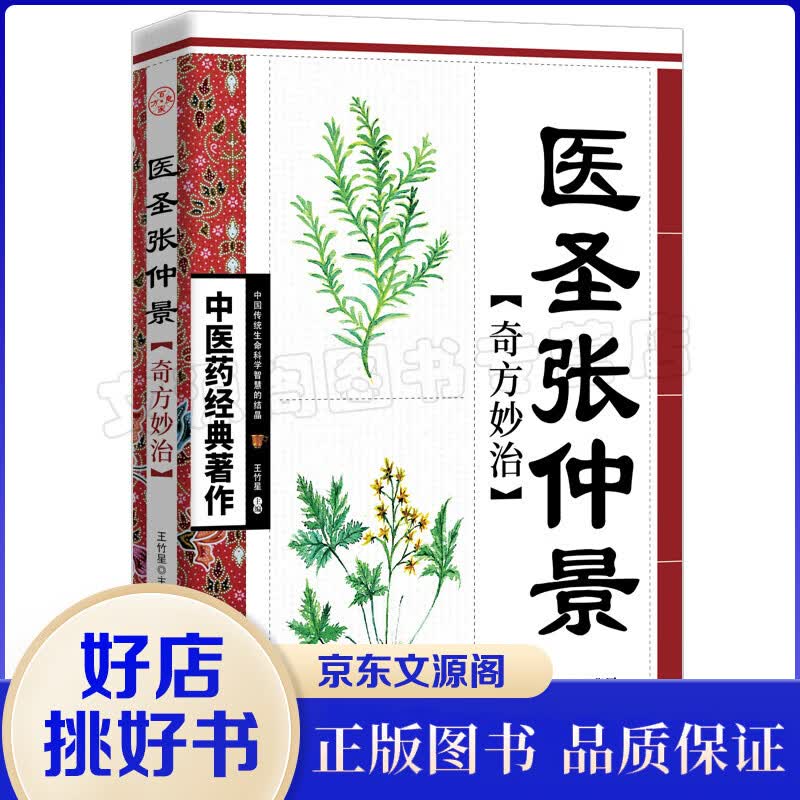 中医药经典著作一医圣张仲景·奇方妙治 中医名家奇方 中医入门阅读参考书籍 治疗疑难杂症中医药学经典