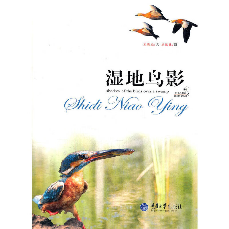 当当湿地鸟影
