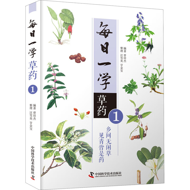 每日一学草药 1