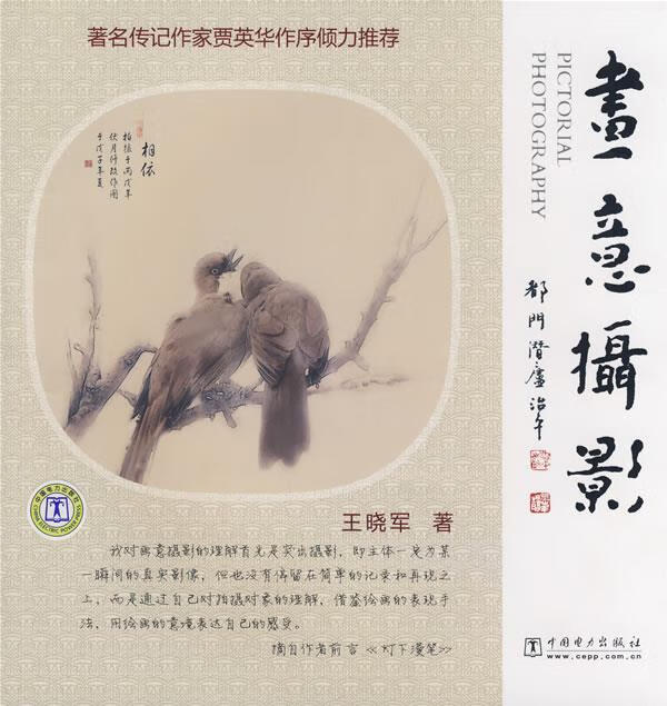 画意摄影 王晓军 著