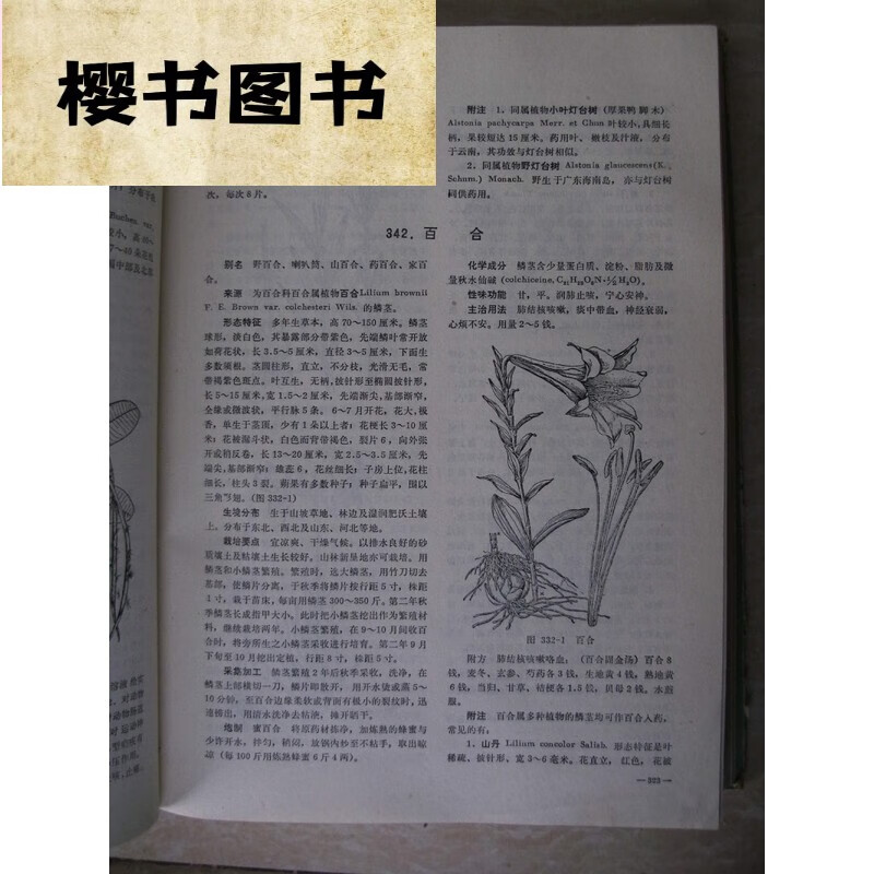 全国中草药汇编上下册 硬精装本 70年代旧