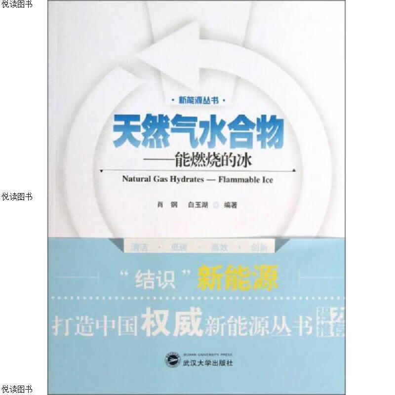 新能源丛书·天然气水合物：能燃烧的冰