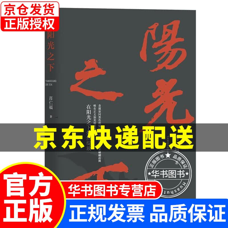 阳光之下（一部难得的“教科书式”的反腐败小说力作！）