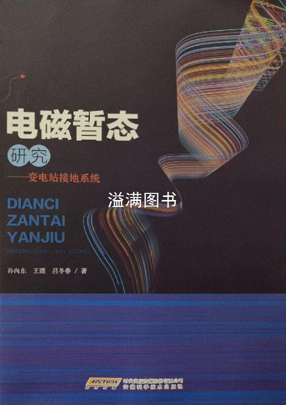 电磁暂态研究 孙向东著 安徽科学技术出版社 9787533782665