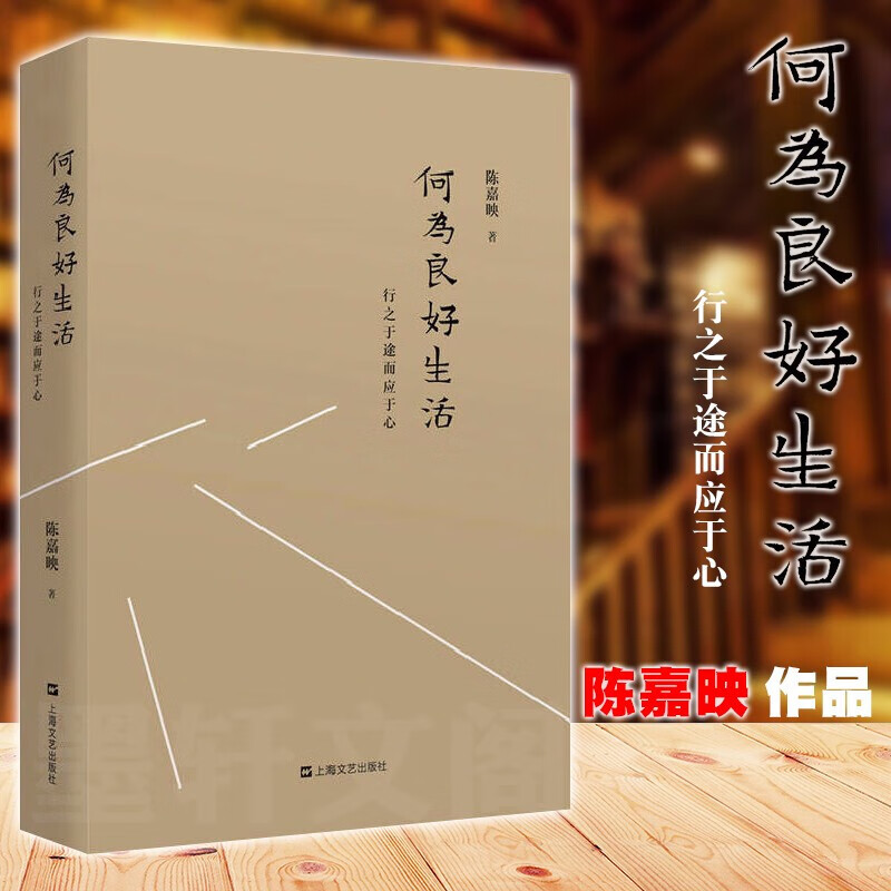 何为良好生活：行之于途而应于心（新版） 陈嘉映 著  上海文艺