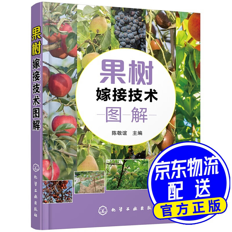 果树嫁接技术图解