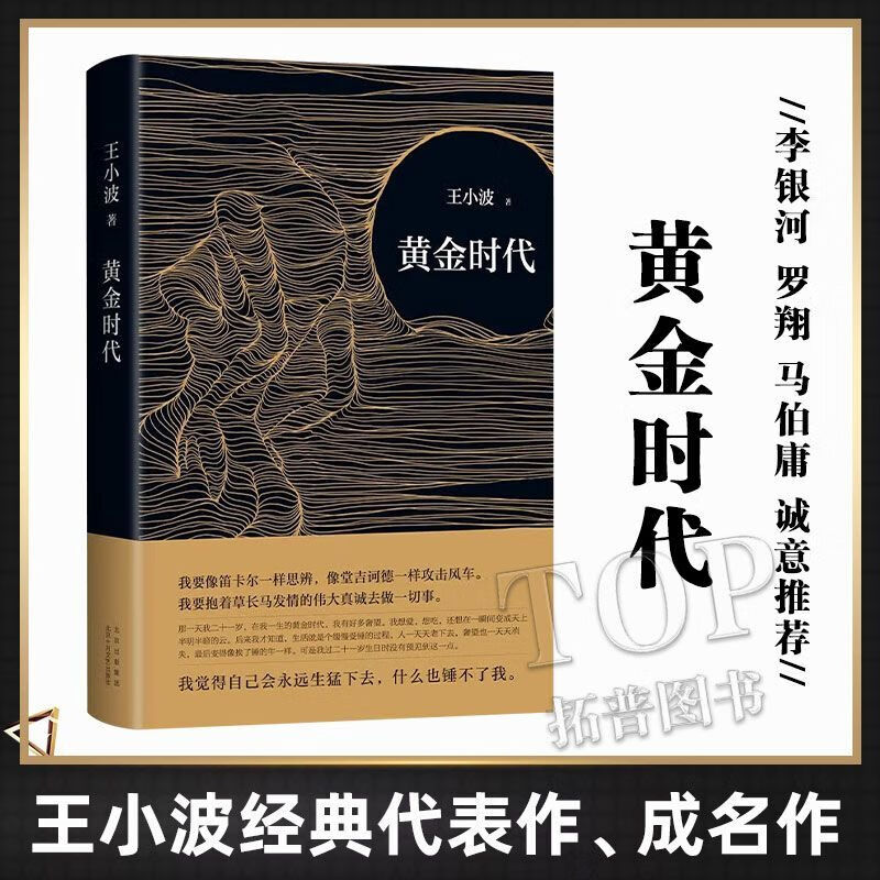王小波中长篇小说黄金时代白银时代黑铁时代完整无删减时代三部曲 黄金时代