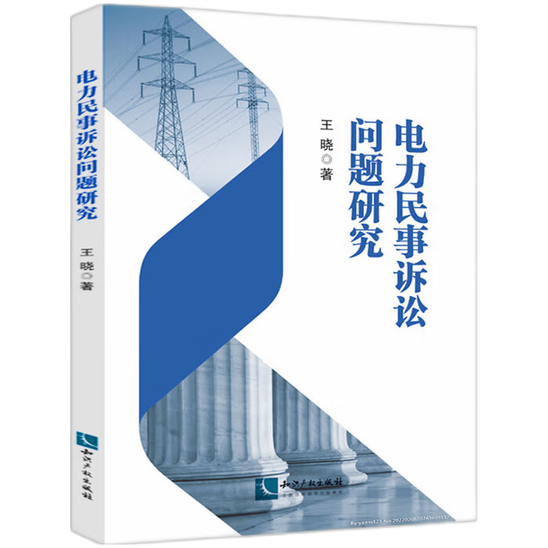 电力民事诉讼问题研究