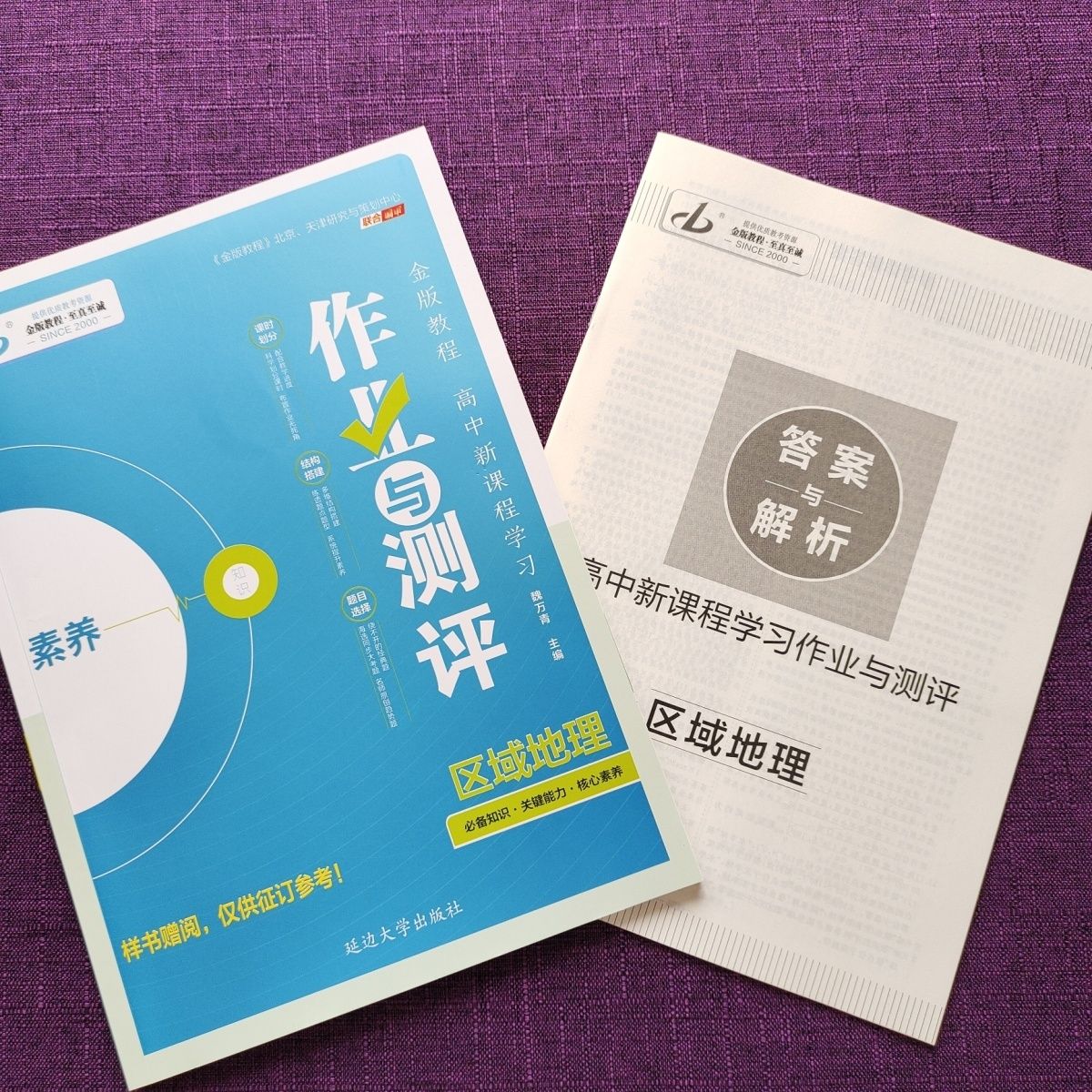 2024金版 区域 新学习作业与测评