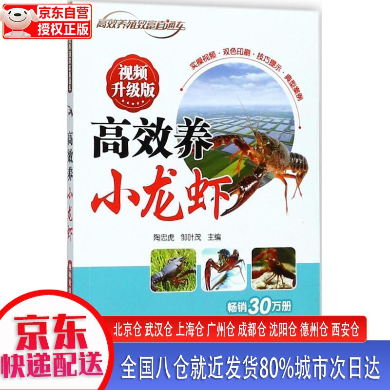 【现货】高效养小龙虾 视频升级版