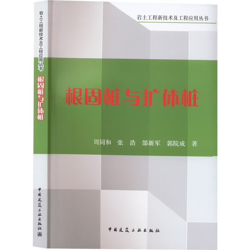 根固桩与扩体桩 图书