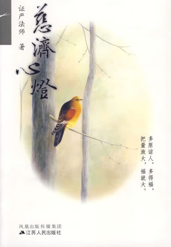 慈济心灯D 5 证严法师【好书，下单速发】