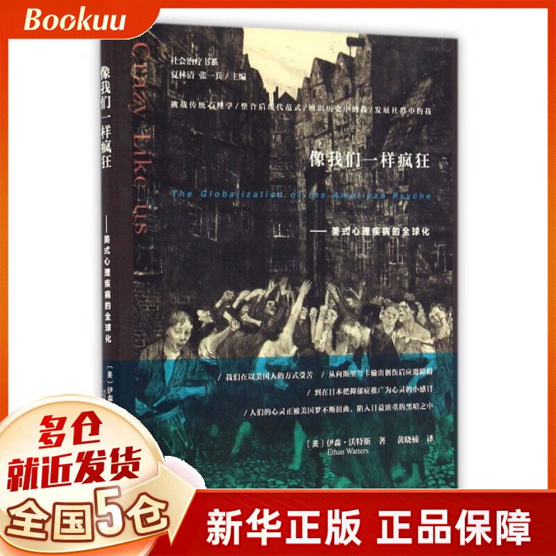 像我们一样疯狂--美式心理疾病的全球化/社会治疗书系
