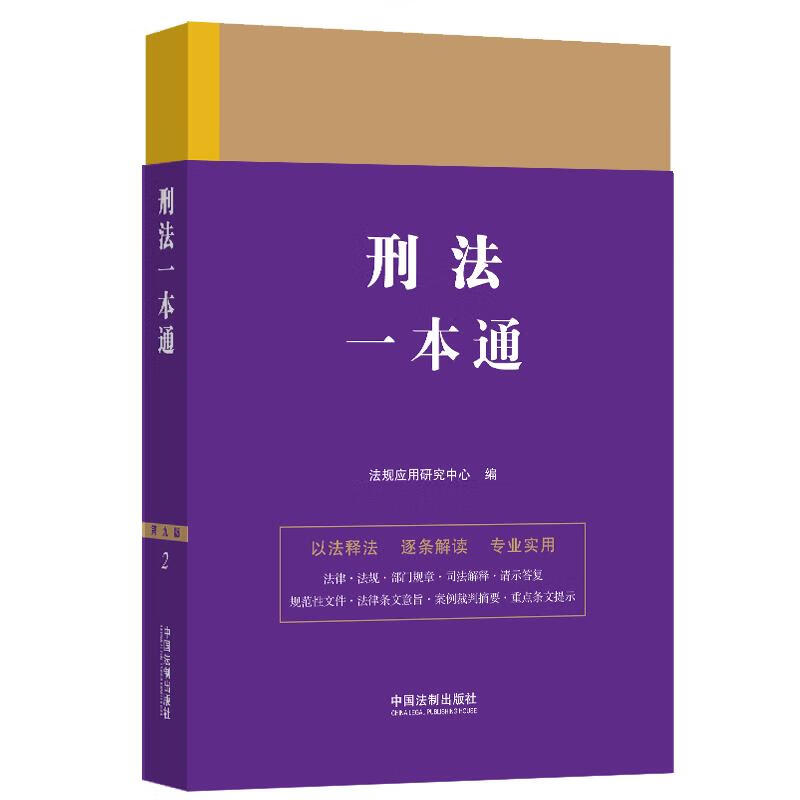刑法一本通 第9版 图书