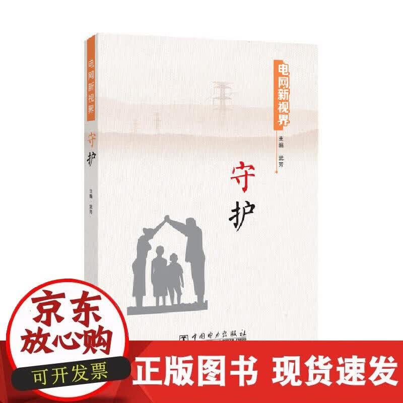【现货】电网新视界 守护