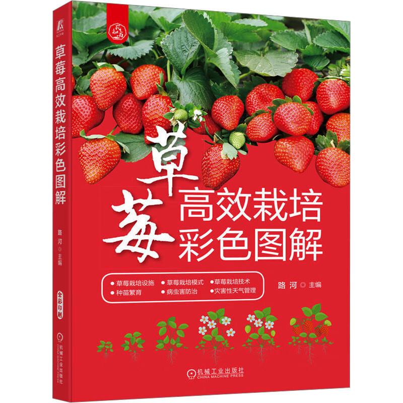 草莓高效栽培彩色图解 路河 编 书籍 图书