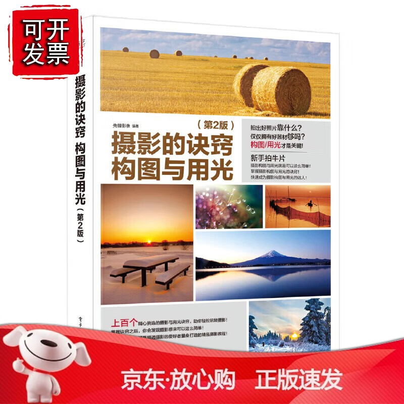 摄影的诀窍 构图与用光 （第2版）（全彩）