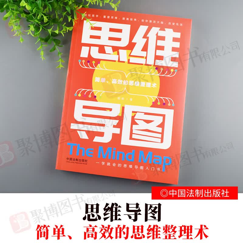 2020新书 思维导图：简单、高效的思维整理术 一学就会的思维导图入门书 中国法制出版社
