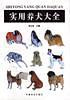 实用养犬大全【好书】