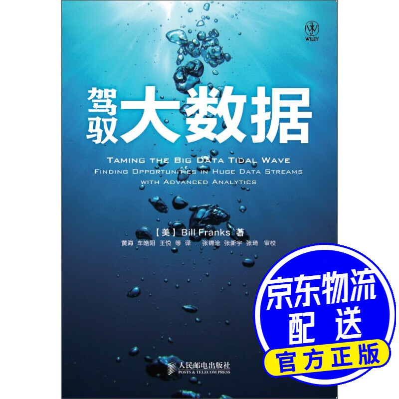 驾驭大数据(异步图书出品)