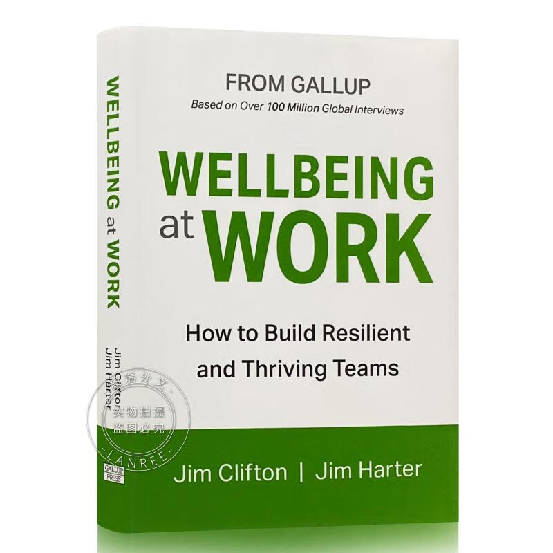 现货 职场幸福感 Wellbeing at Work