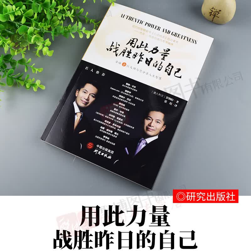 2020新书 用此力量 战胜昨日的自己 全球十位大师与您分享人生智慧 积极心态 思考方式实用的励志书