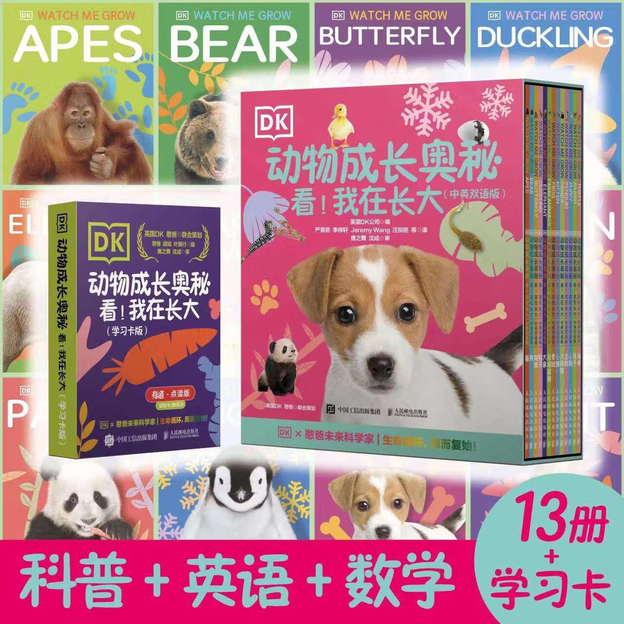 DK小动物套装13册+学习卡 DK小动物套装13册+学习卡