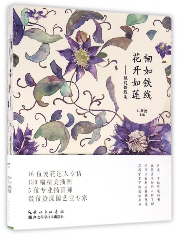 韧如铁线花开如莲--缘起铁线莲