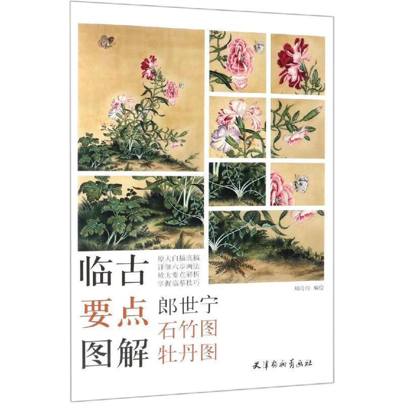 郎世宁石竹图牡丹图