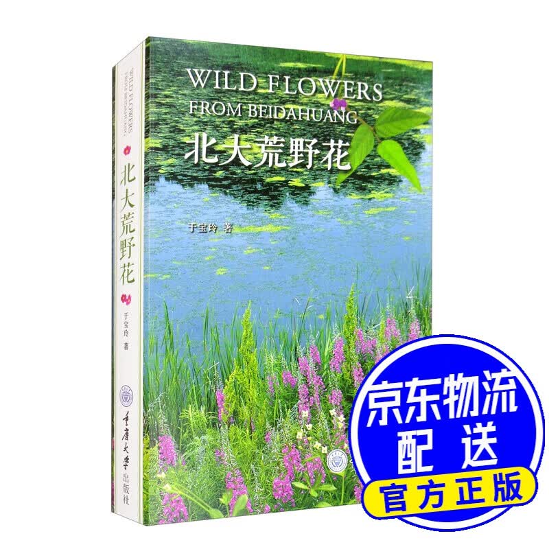 北大荒野花