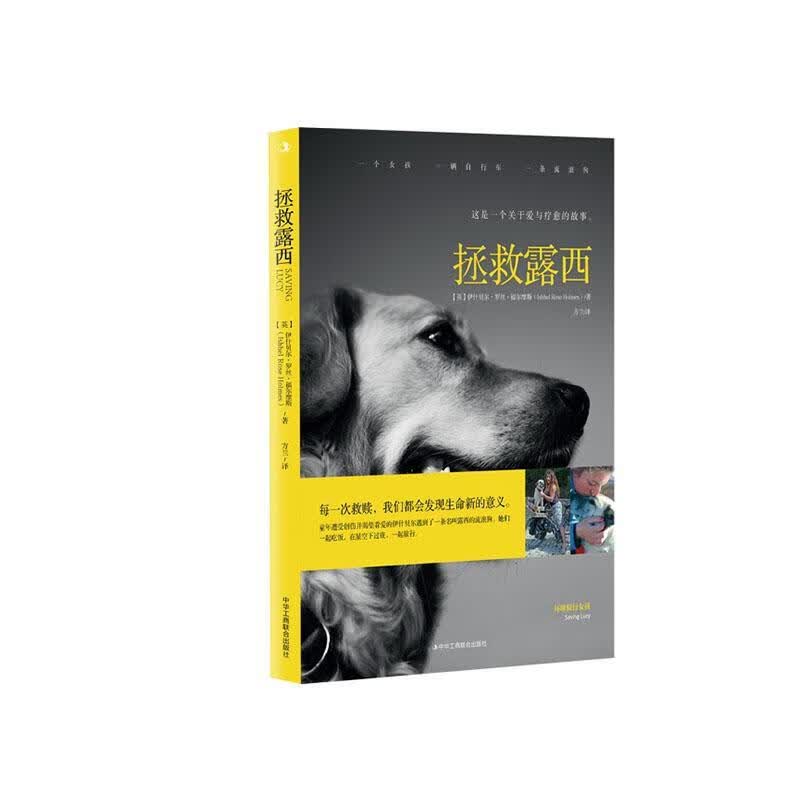 拯救露西心理学 图书