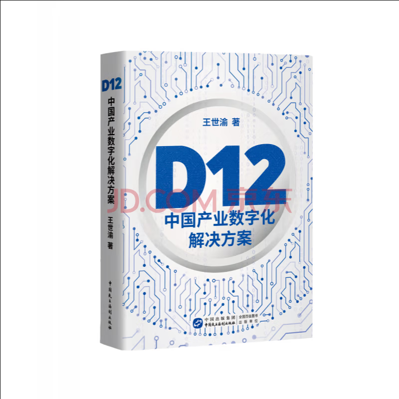 《D12：中国产业数字化解决方案》