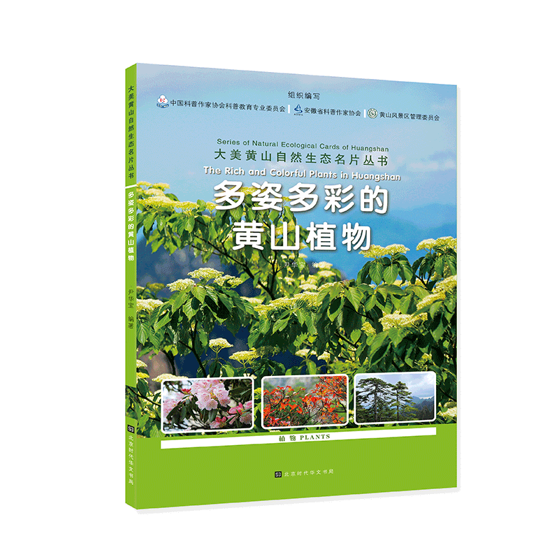 多姿多彩的黄山植物
