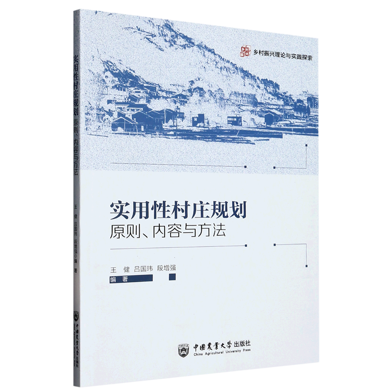 实用性村庄规划(原则内容与方法)/乡村振兴理论与实践探索