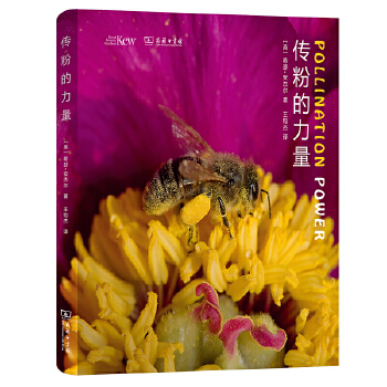 传粉的力量