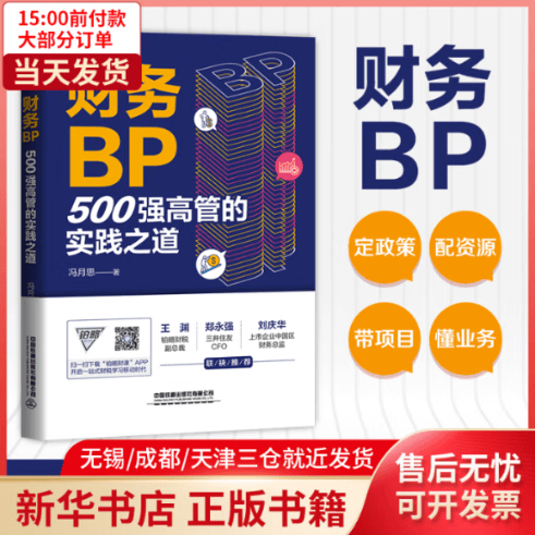 财务BP 500强高管的实践之道 全新
