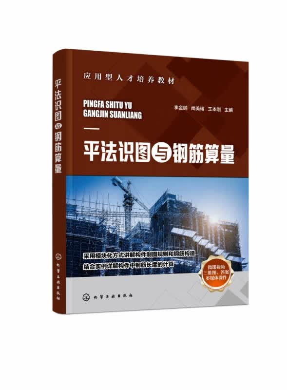 平法识图与钢筋算量（李金鹏）