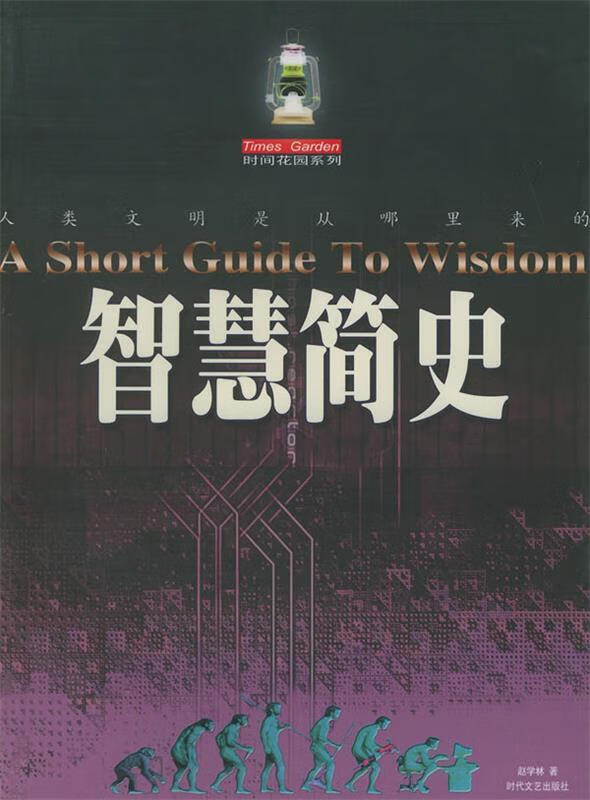 智慧简史
