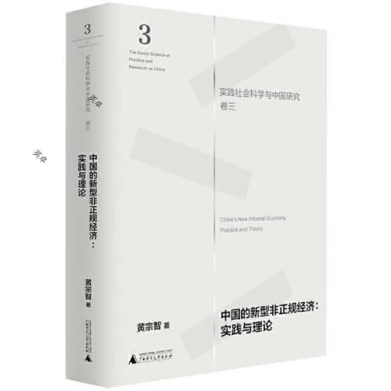 中国的新型非正规经济：实践与理论(实践社会科学与中国研究·卷
