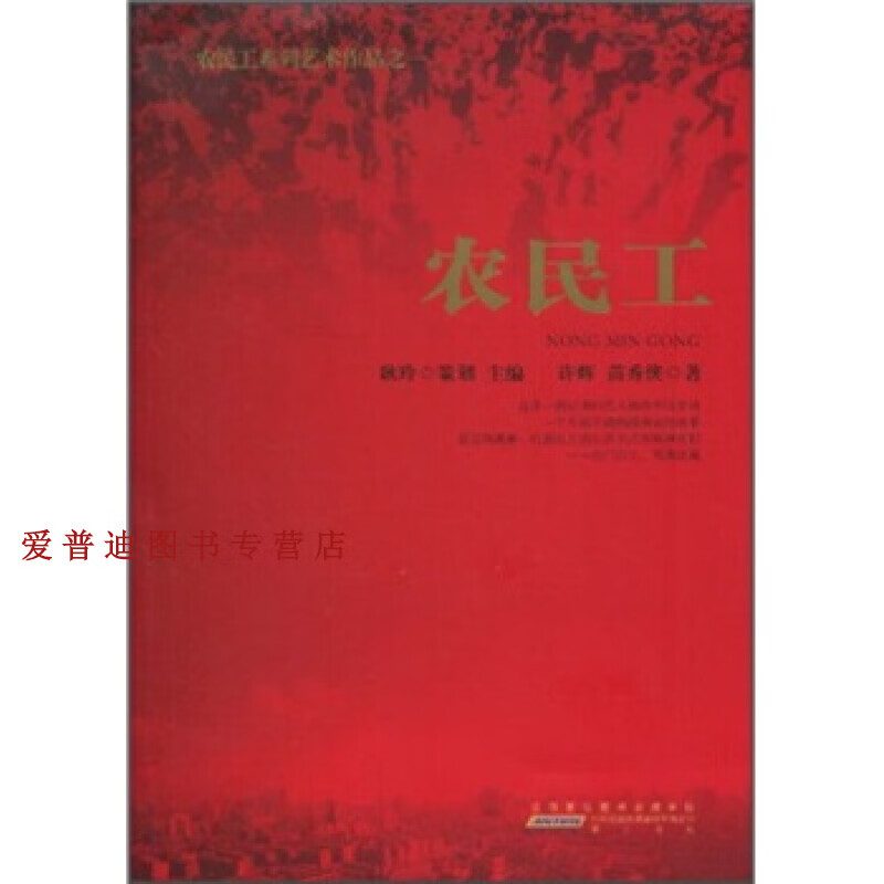 农民工 许辉【好书，下单速发】