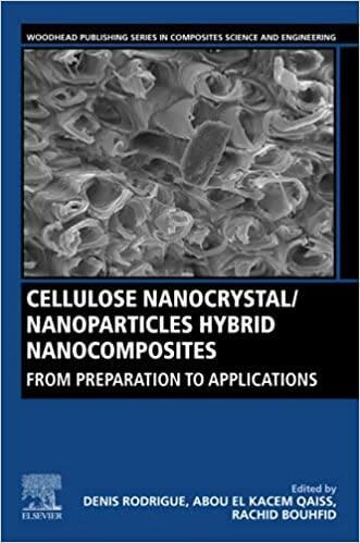 Cellulose Nanocrystal/Nanoparticles Hybrid Nanoc