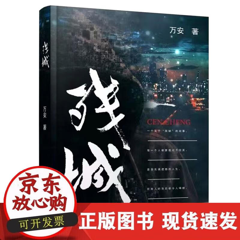 【现货】残城（万安刑侦系列小说）