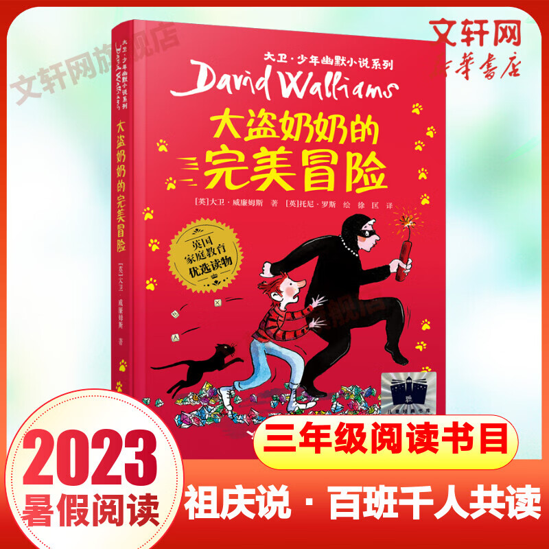 大盗奶奶的完美冒险 2023年祖庆说百班千人三年级 全国小学生暑假阅读课外书 图书