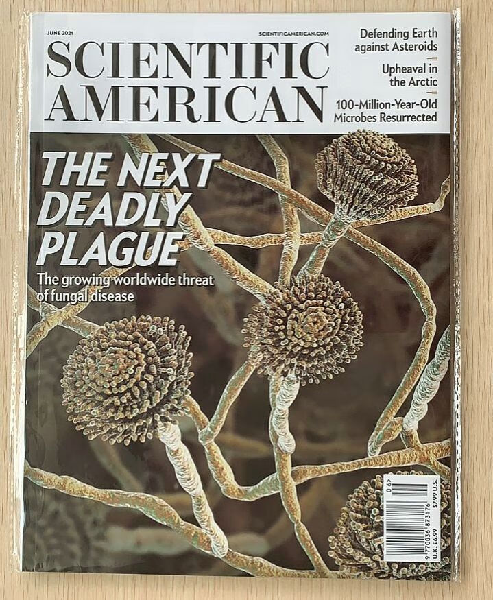 SCIENTIFIC AMERICAN 科学人2023年2月 科普类英文杂志 科学美国人2021年6月