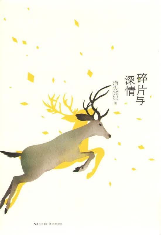 碎片与深情 消失宾妮 著