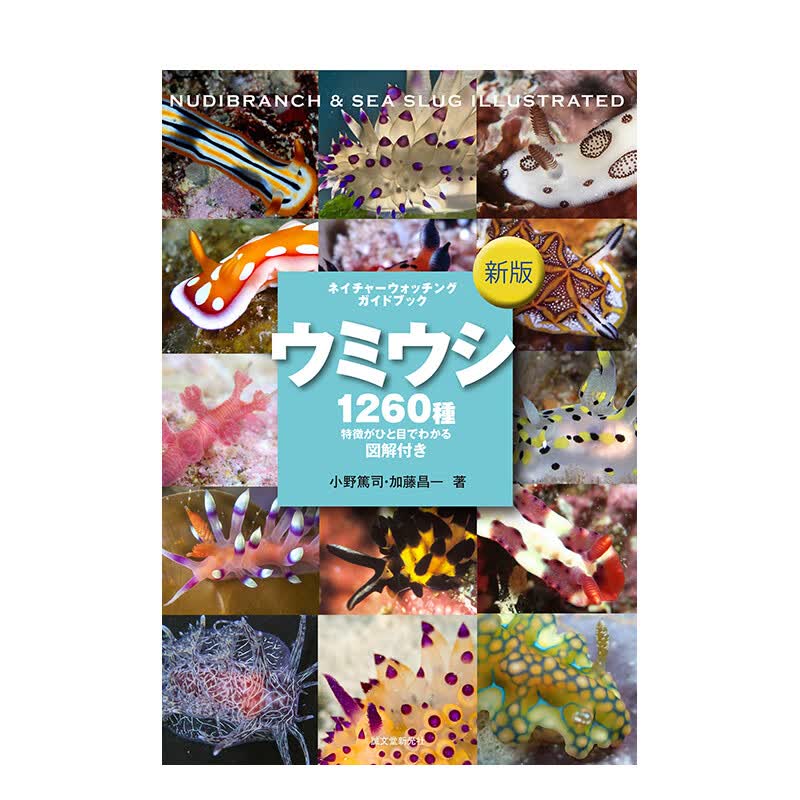 新版 海蛞蝓 新版 ウミウシ 进口原版日文艺术 善本图书