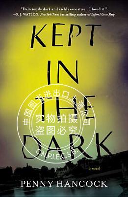 现货 英文原版kept in the dark