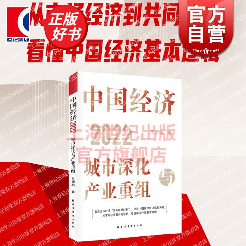 中国经济2022:城市深化与产业重组 王德培作品 上海远东出版社