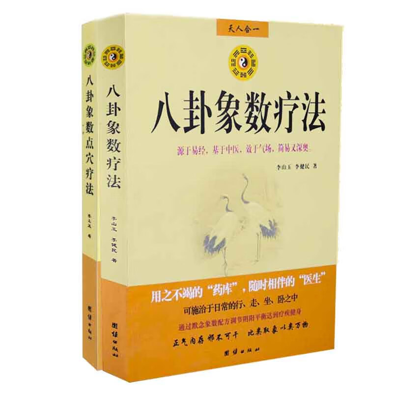 八卦象数疗法套装（全两册）——《八卦象数疗法》《八卦象数点穴疗法》