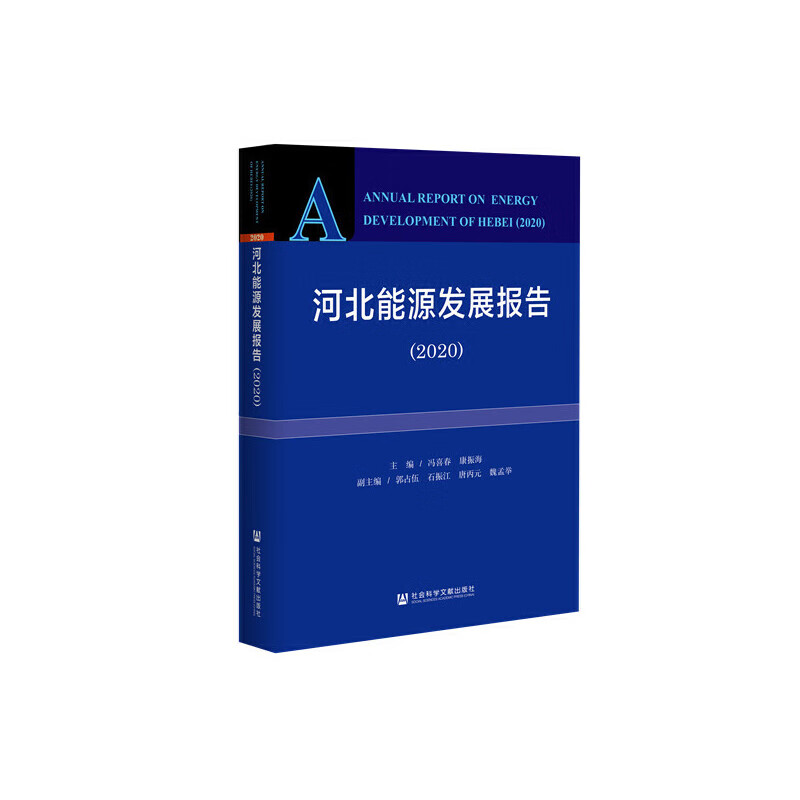 河北能源发展报告2020